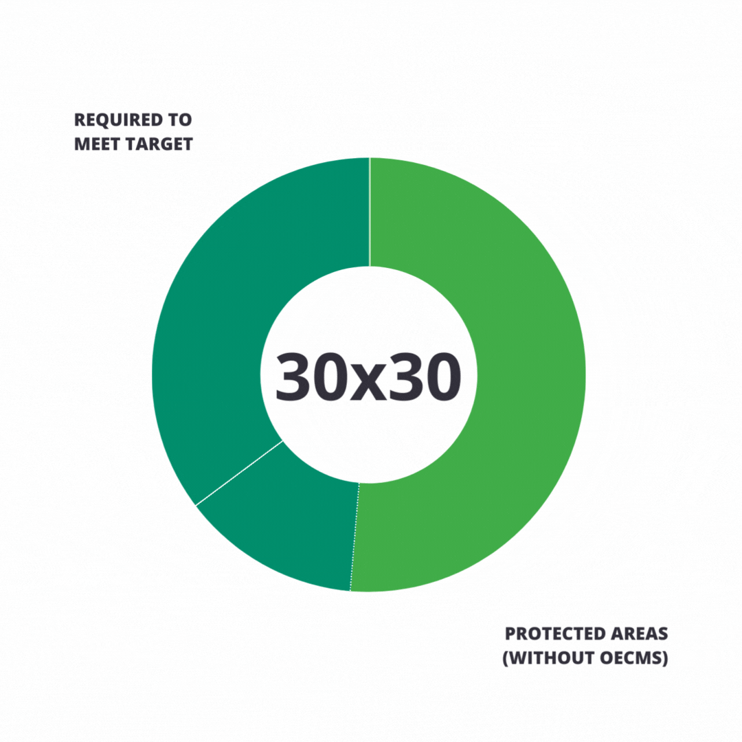 Protecting 30 by 2030 (30x30) - Canadian Parks and Wilderness Society BC